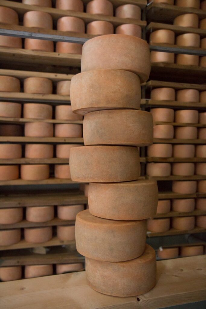 Exceptional Best in Show Cheese Tasting! | Brattleboro Food Co-op