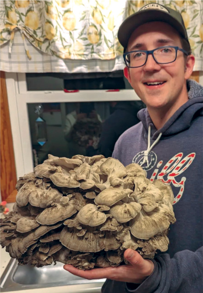 Wellness Roundup: Rogue Herbalist, Vermont Bee Balm, and Meadow Bee ...